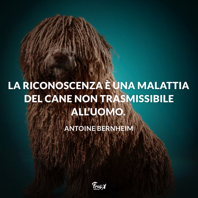 Frasi sui cani