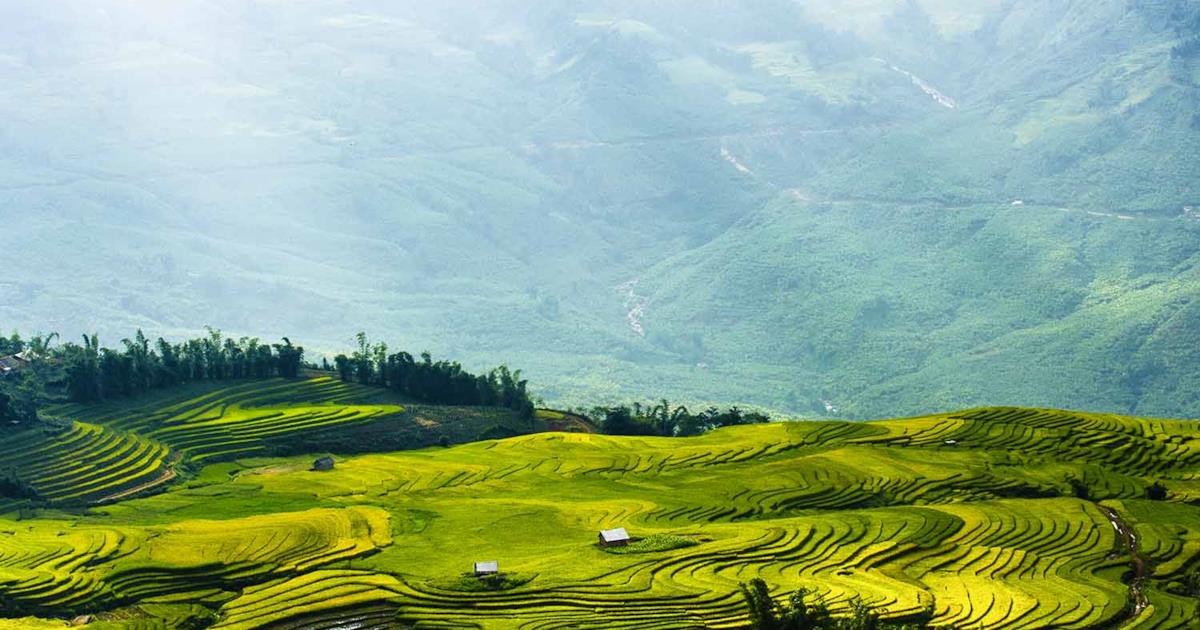 What to visit in Sapa, land of green fields and culture