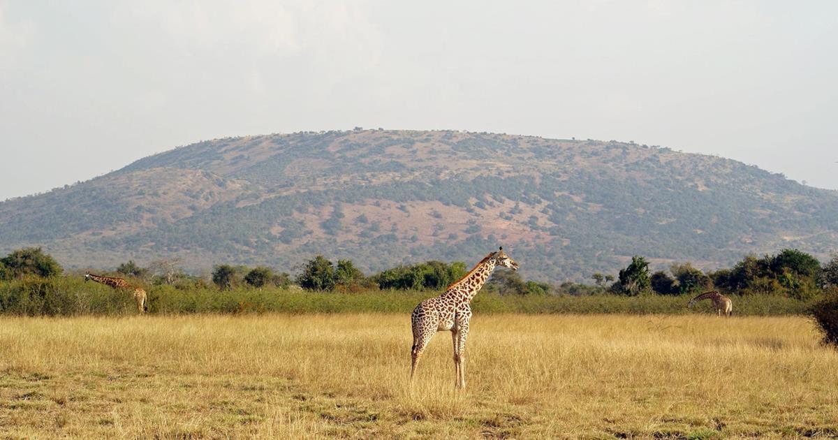 Consigli di viaggio: Ruanda