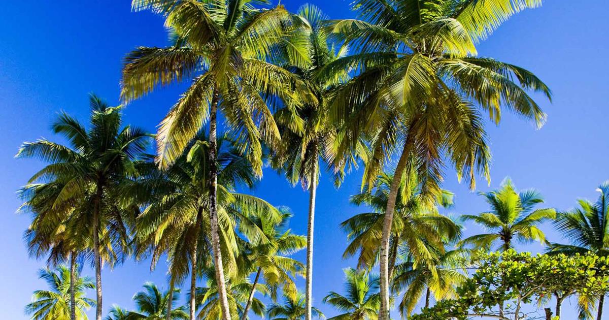 Il clima di Cuba, le stagioni e le temperature