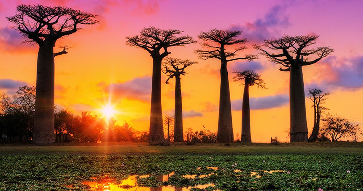 Madagascar, consigli di viaggio